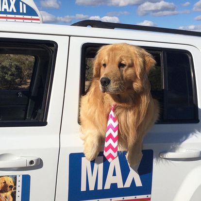 Meet Mayor Max - Good Morning Idyllwild